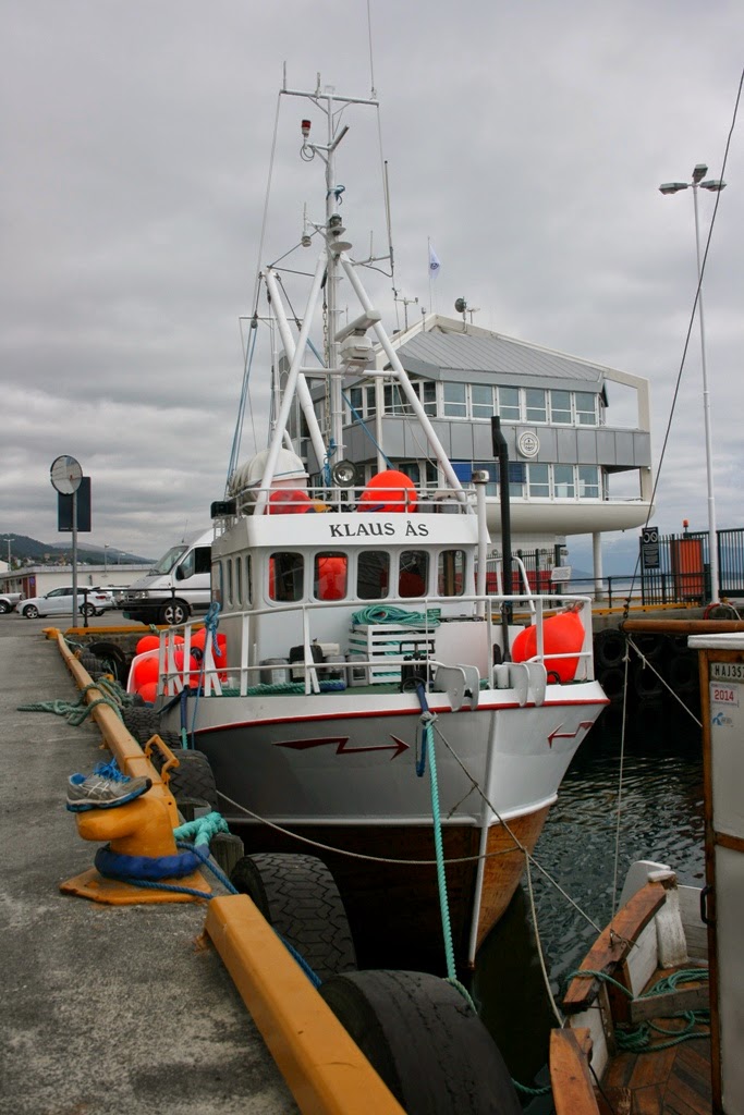 Wyzle on the Road: MOLDE TRIP