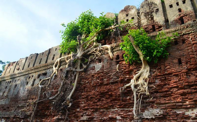 Tamilnadu Tourism: Alamparai Fort, Kadappakkam, Kanchipuram
