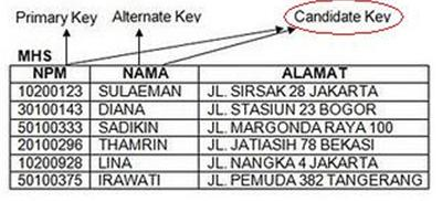 Jenis-Jenis Kunci Dalam Relation Database - CATATAN Q