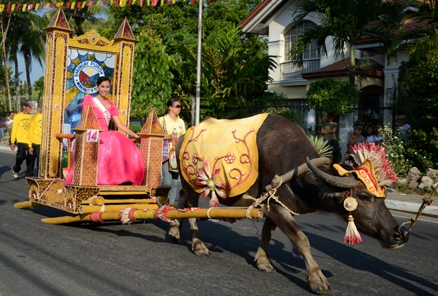 mybeautifulILOILO: Carabao-Carroza Festival: More than Just a Race