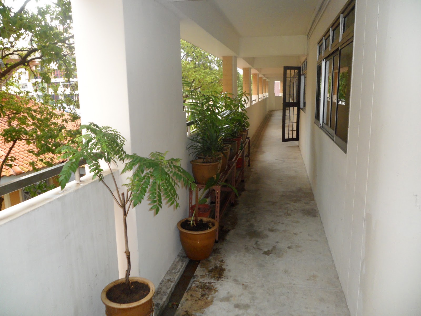 Me & Decor: Gardening in HDB flats