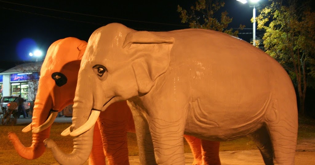 The Carpetbagger: Search for Mary the Elephant