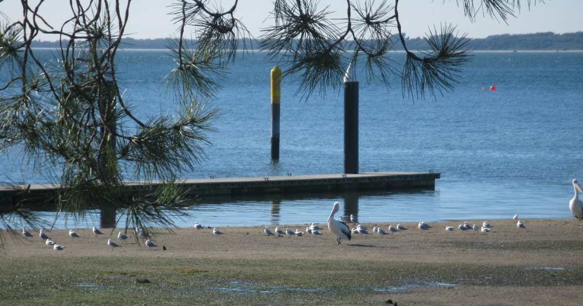 MORNINGTON PENINSULA DAILY: by the bay...