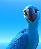 Rio, la pelicula del siglo: Un vistazo a los personajes de Rio: Perla