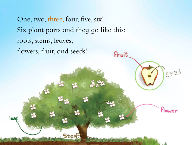 The Library Voice: Bring Research To Life With Fortune Tellers ...