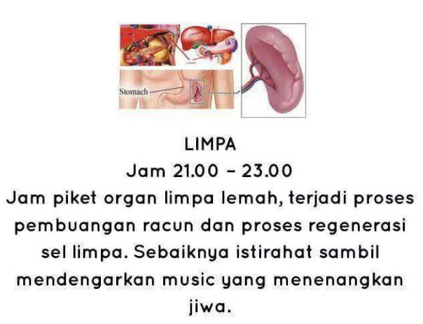 Jarang Yang Tahu Padahal Penting Bagi Kesehatan, Jam Kerja Biologis ...