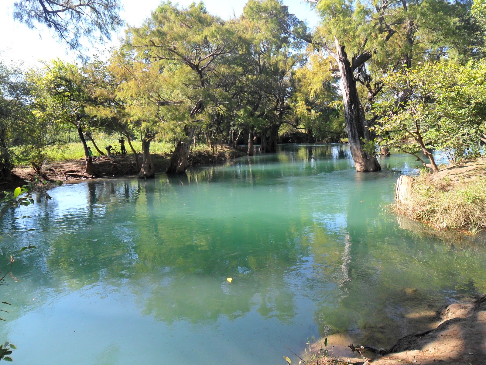 Paseo Educaciónal, Visita Cimarron