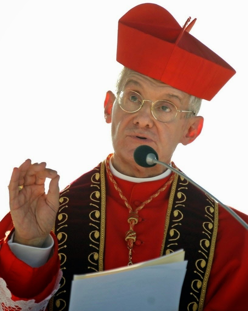 Barrete Preto : Francisco nomeia Cardeal Tauran novo Camerlengo