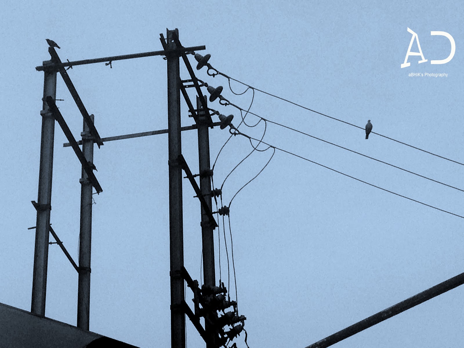 Abhik Dey Photography