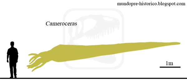 Mundo Pré-Histórico: Cameroceras, um molusco gigante