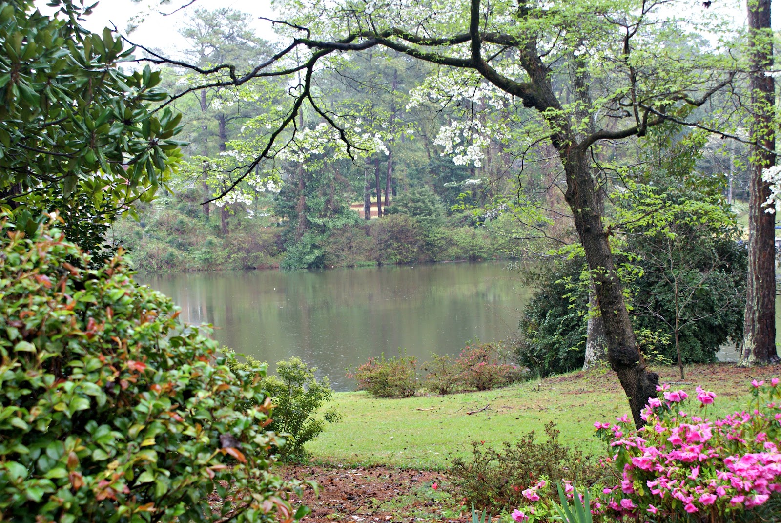 A Little Loveliness: Easter in Georgia