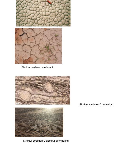CARA MENENTUKAN STRUKTUR PADA BATUAN SEDIMEN KLASTIK - Our Akuntansi