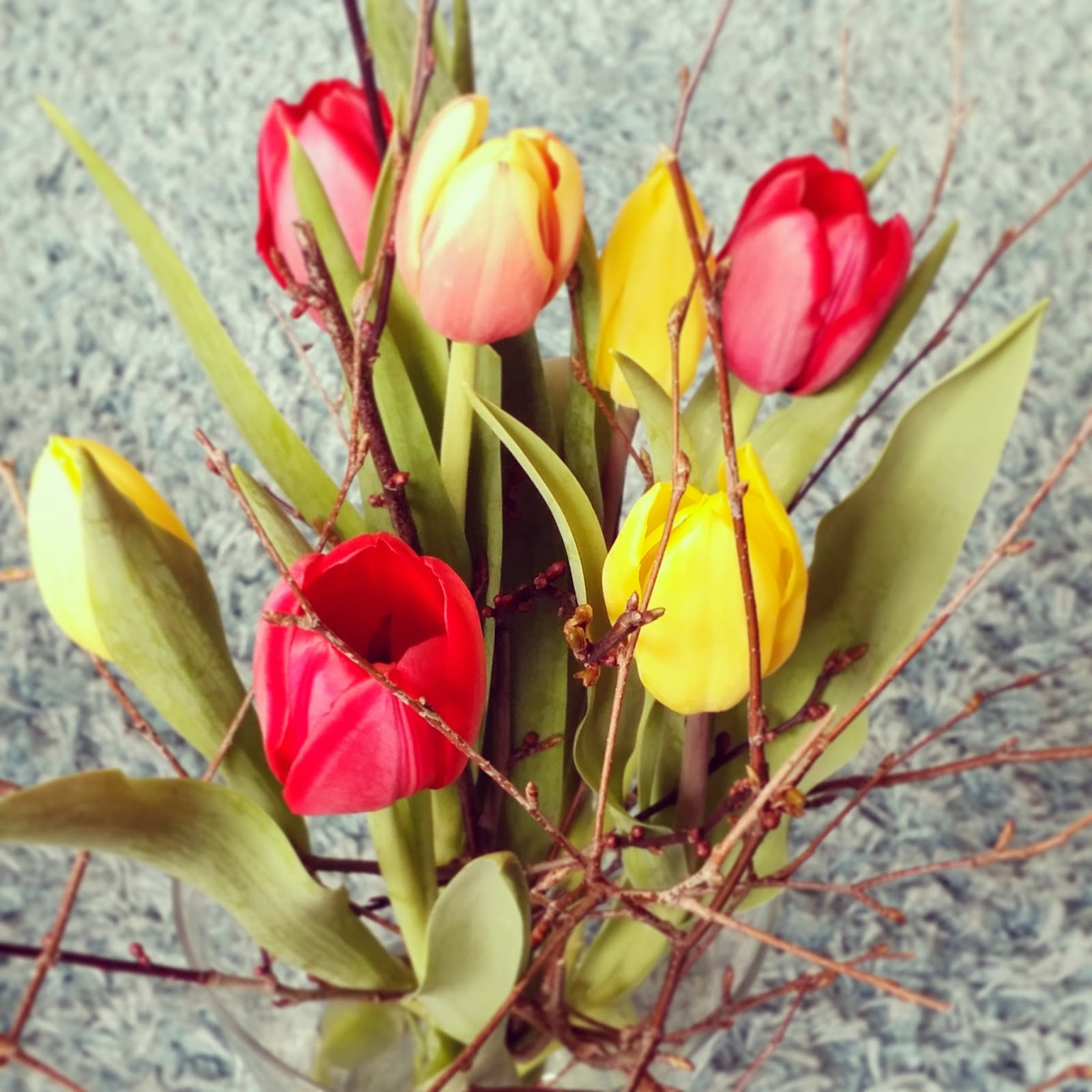 ByKleene: Hallo erstmal