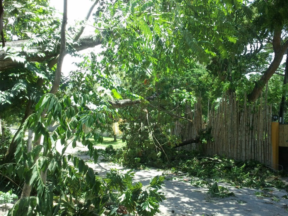 Chicturista: Spontaneously at Bambulo.