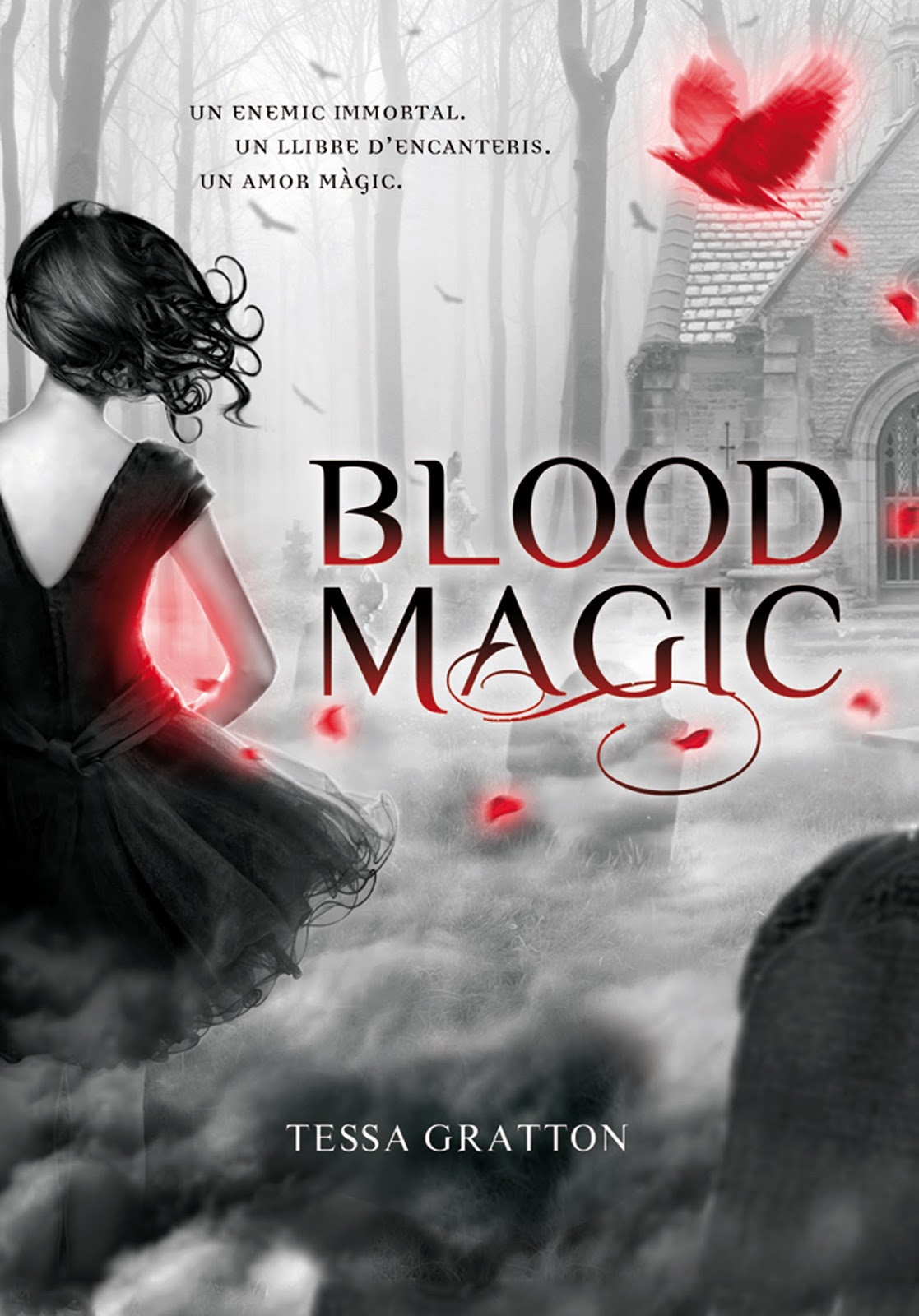 Adicta a los libros juveniles: Reseña : Blood magic