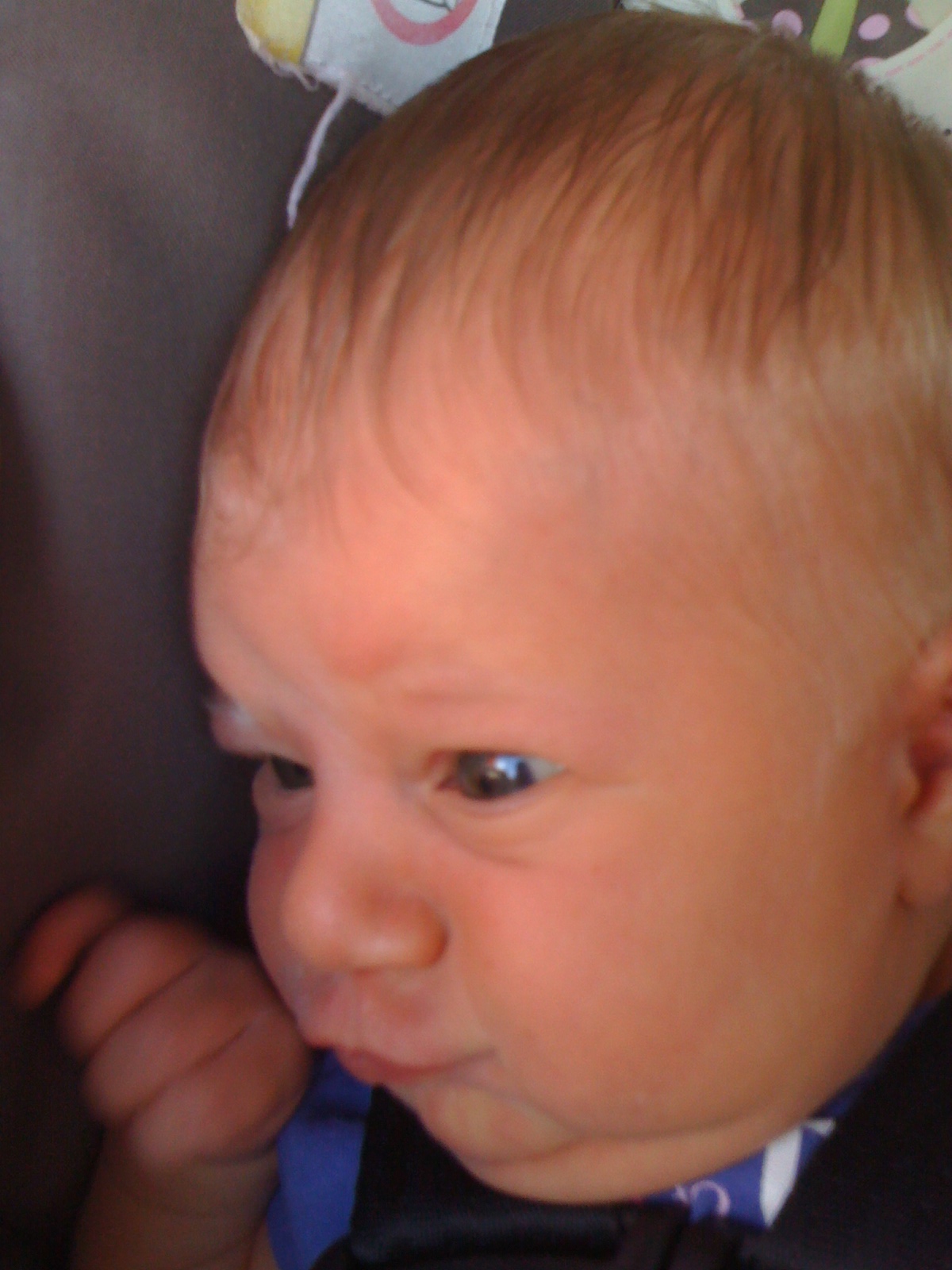 Concise and Other Fun Words