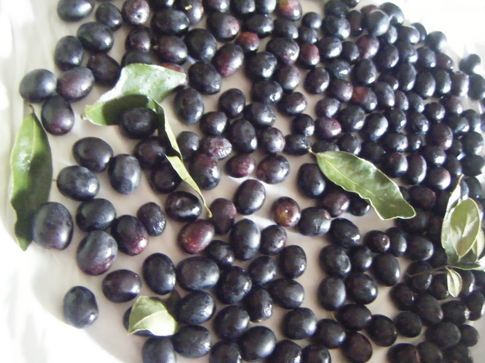 RICETTA OLIVE NERE SOTTO SALE