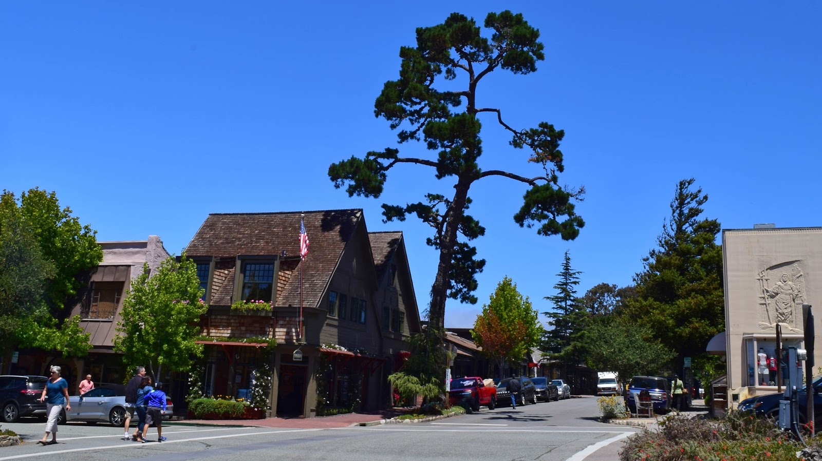 Friends of Carmel Forest Tree Tour with Dr. Matt Ritter 2016 - Carmel ...
