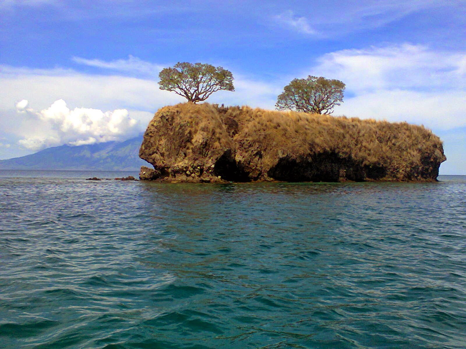 Melihat dari Dekat Pulau Ular di Bima ~ Lombok Atraktif