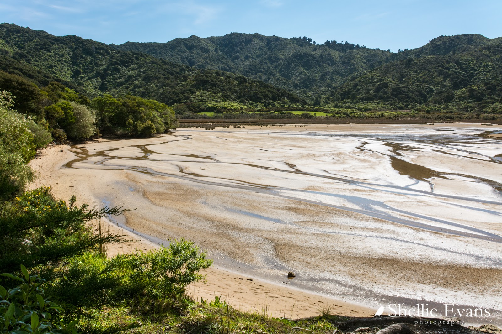 Two Go Tiki Touring: Totaranui- Bird Paradise