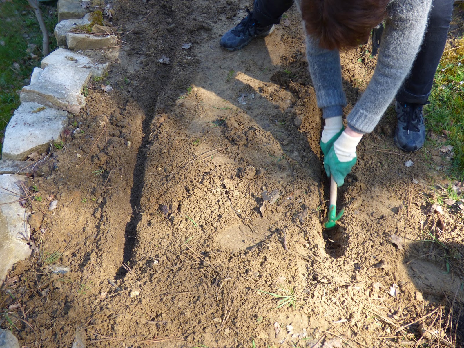 Une semaine à Paris-Forêt: Jardiner - Le Défi Potager #7 : l'accélération