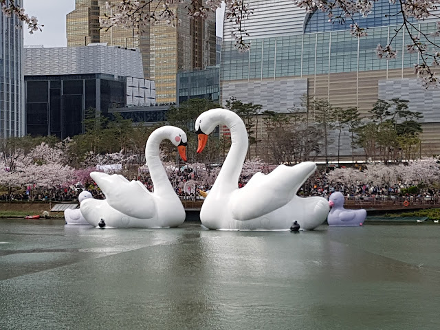 [일상] 석촌호수 스윗 스완 프로젝트