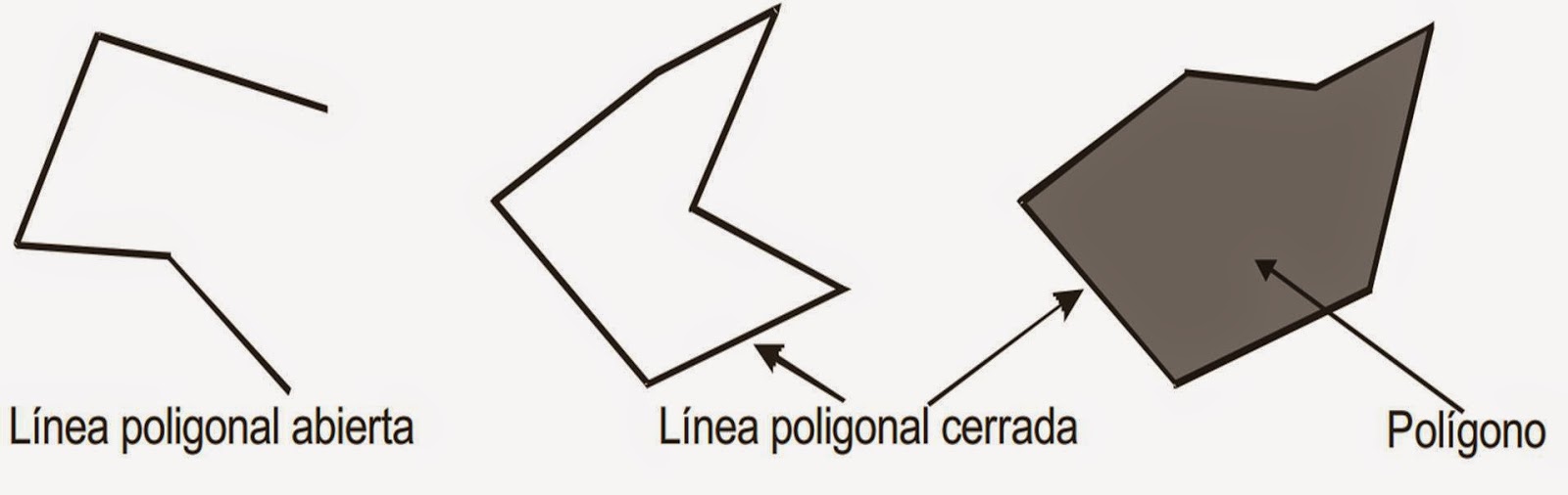 Líneas polígonales