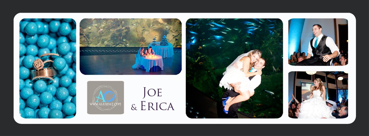 Alexandra Oat photography