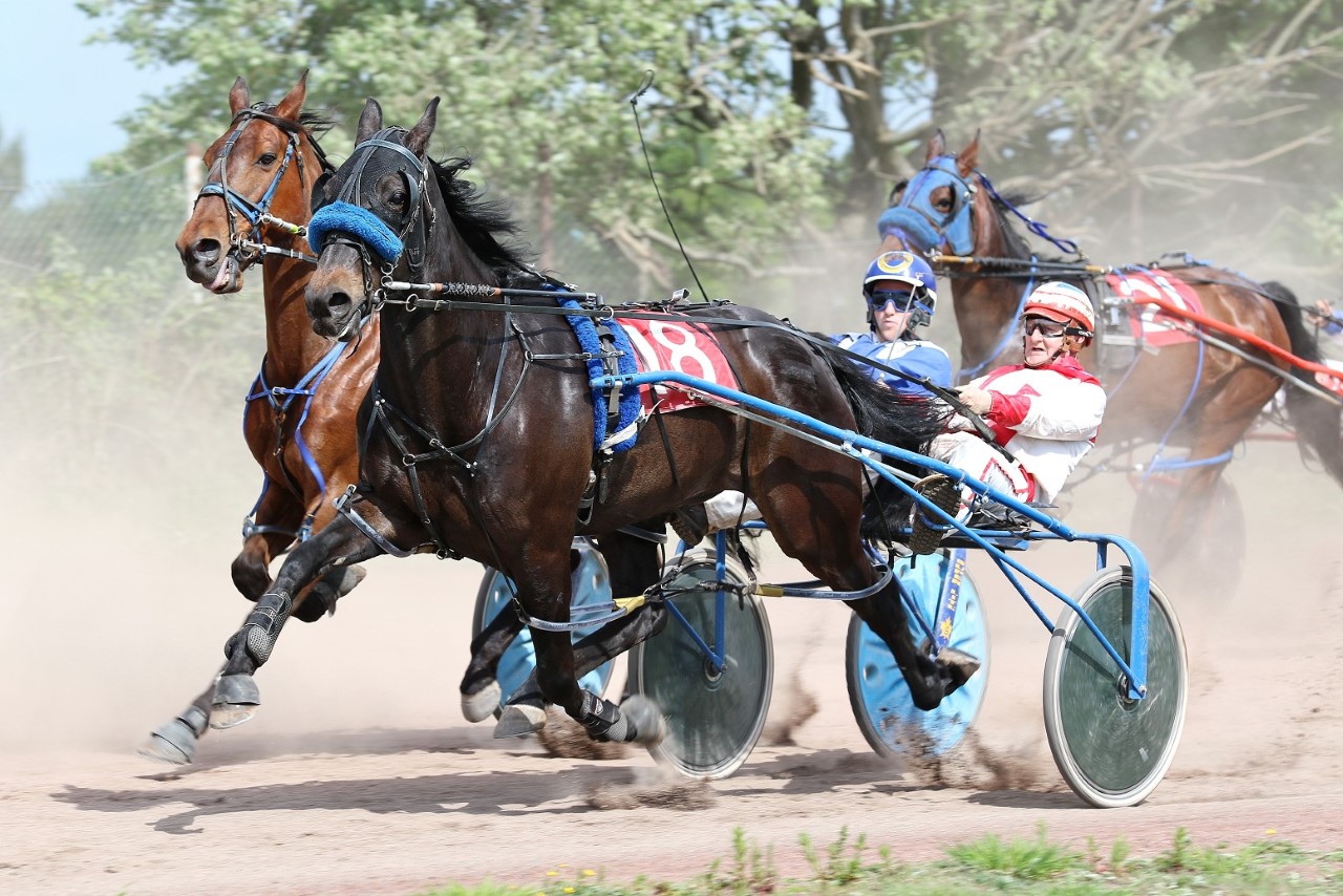 Harness Racing in the UK: May 2016