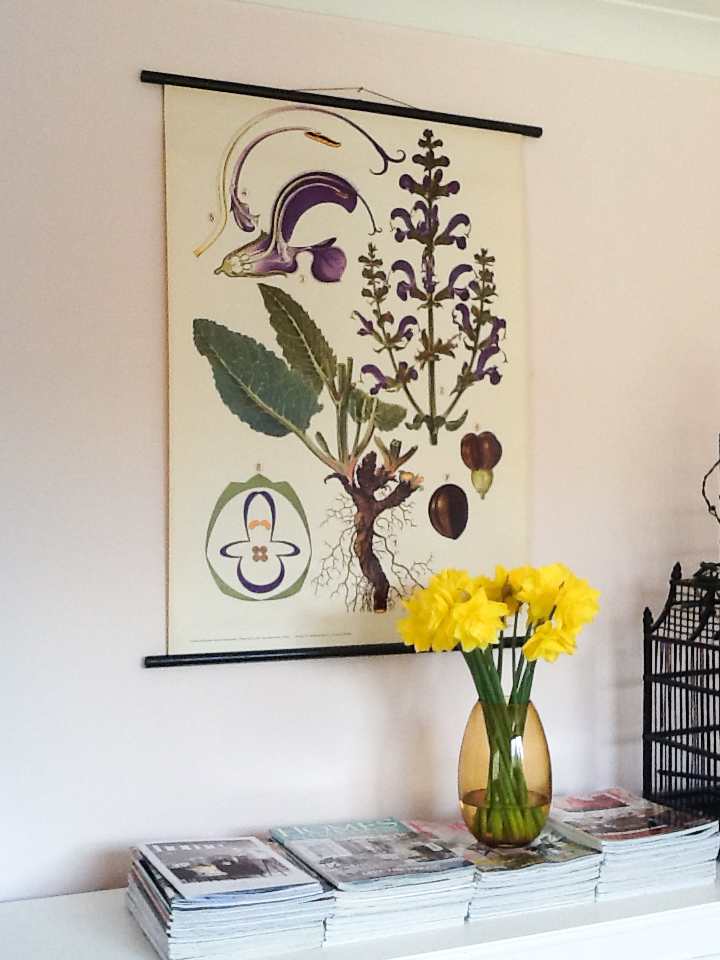 Bonnie&Bell: Design Inspiration