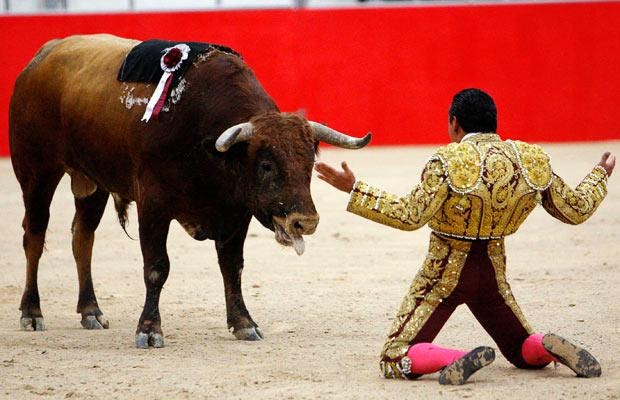 SPORTSALLINS: BULLFIGHTING