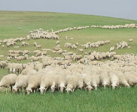 Por un mundo mejor: septiembre 2012