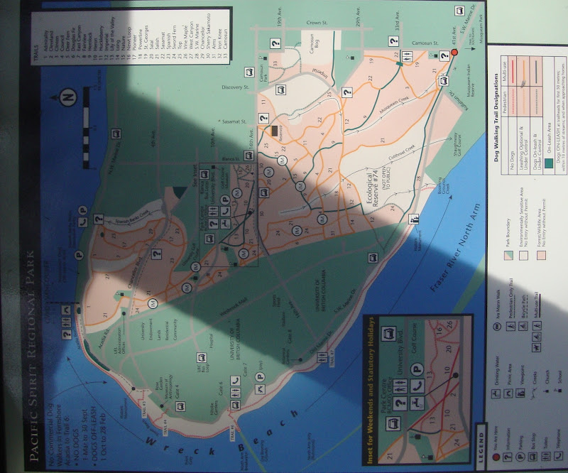 Climber & Explorer: Pacific Spirit Regional Park