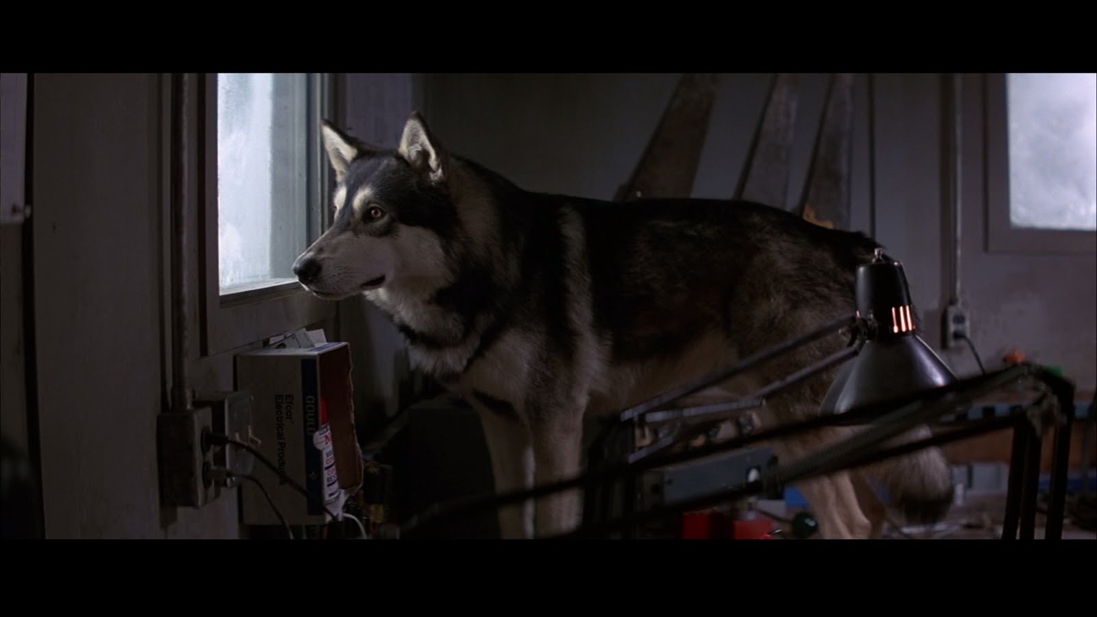 The Lion's Share: The Watcher - John Carpenter's The Thing