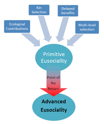 Eusociality: Social Behavior of Insects