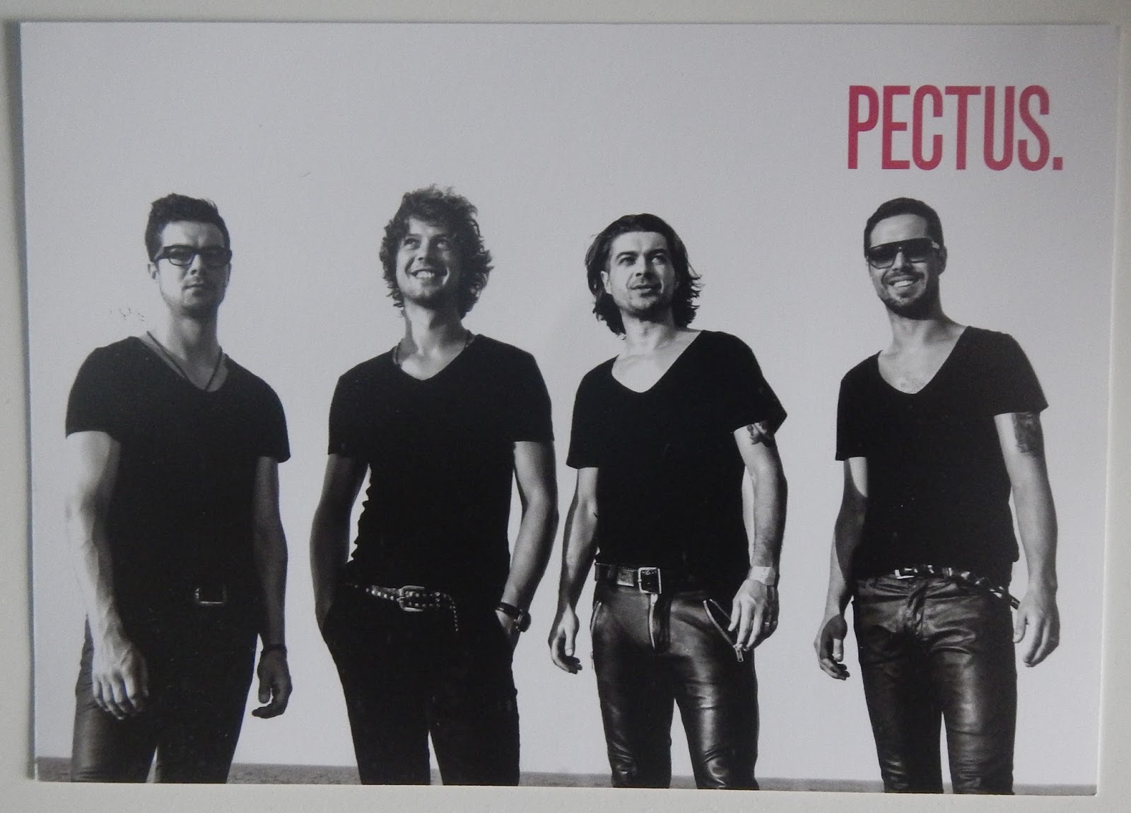 Autografy Stokrotki : Zespół "Pectus"