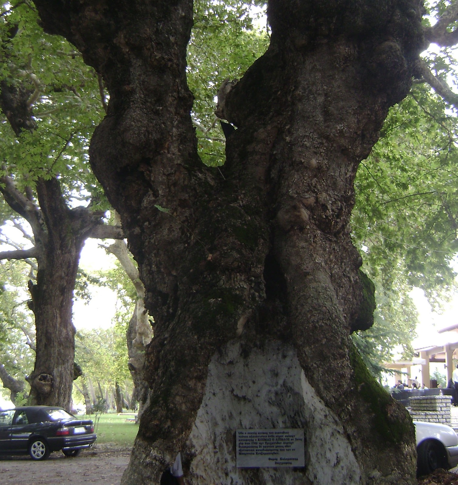 ΙΕΡΑ ΜΗΤΡΟΠΟΛΗ ΧΙΟΥ ΨΑΡΩΝ ΚΑΙ ΟΙΝΟΥΣΣΩΝ ΠΕ ΓΟΧ: Σεπτεμβρίου 2012
