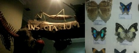 生島クライヤ( ˘ ˘ )®