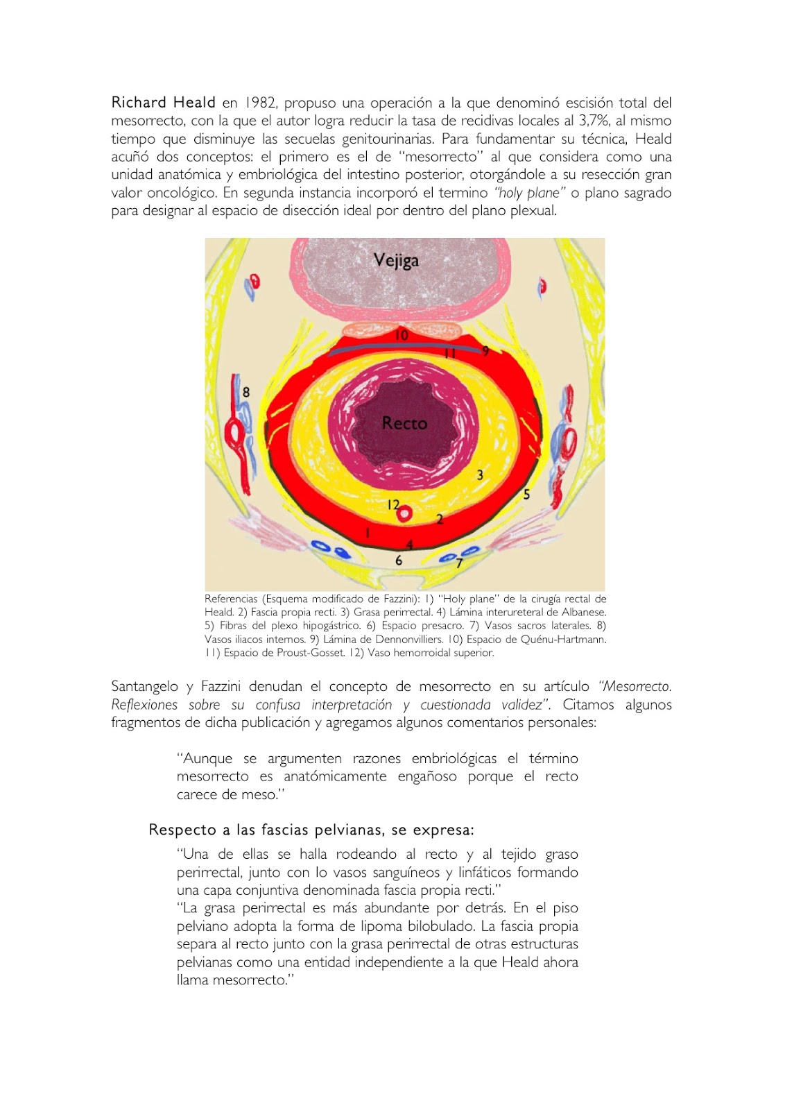 Cuadernos de Anatomía Quirúrgica: La Lámina inter-ureteral de Albanese.
