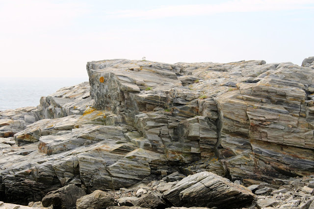 wander north: cliff walk at black point inn