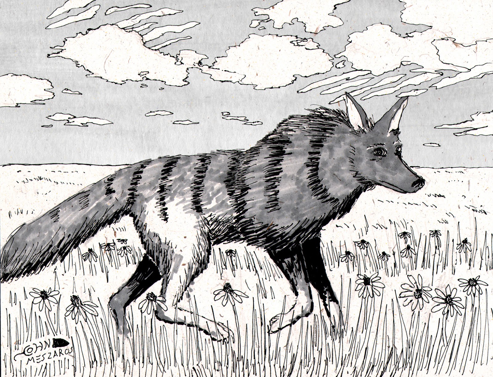 Cryptids State-by-State: Shunka Warak'in, or Ringdocus- Montana