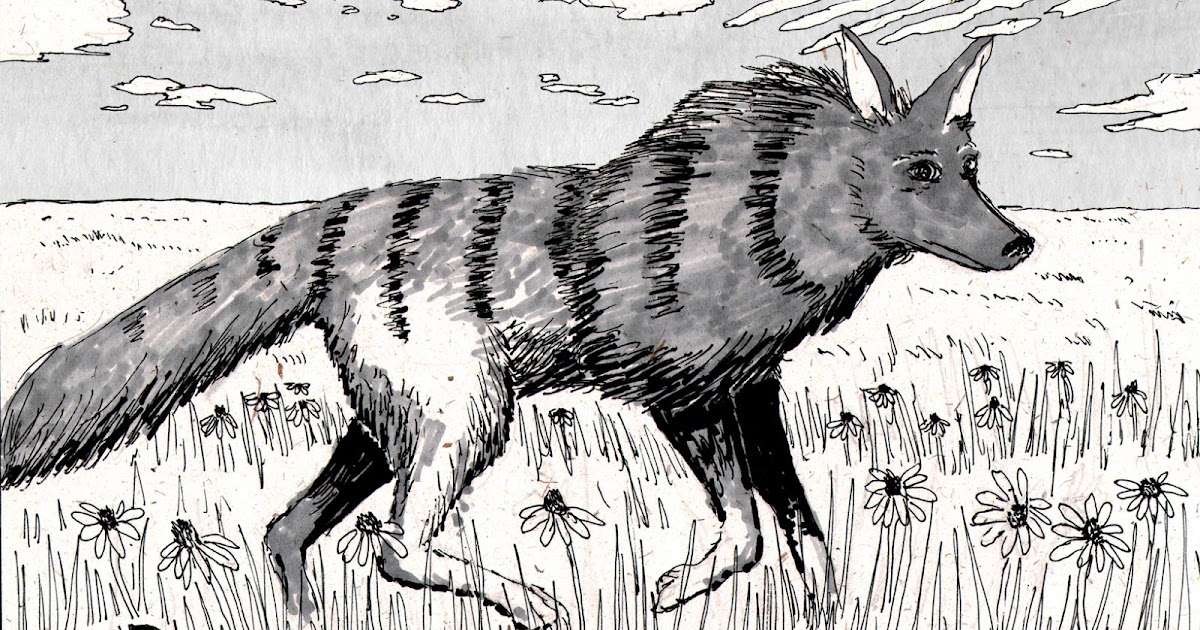 Cryptids State-by-State: Shunka Warak'in, or Ringdocus- Montana