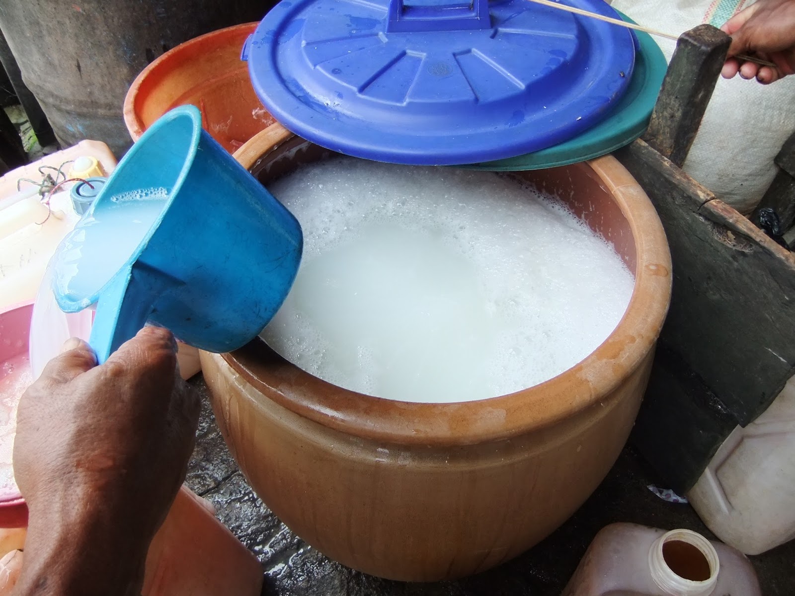 Minuman Khas Tana Toraja - Tuak atau Ballo (Air Pohon enau atau ijuk)