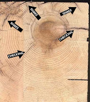 Bansal's Wiki: Defects in wood