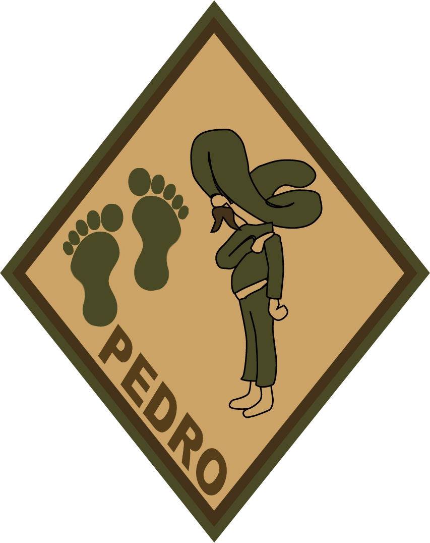 THE USAF RESCUE COLLECTION: USAF Pedro / Green Feet Patch