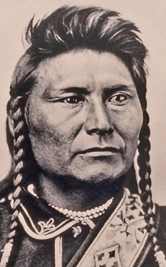 Enchanted Fantasies: Chief Joseph