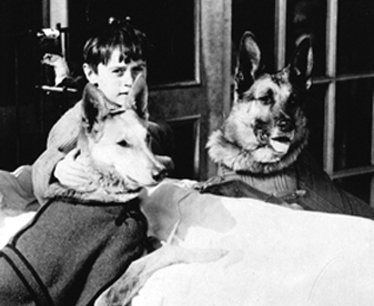 Famous Dogs in History: Strongheart: The First Major Canine Film Star