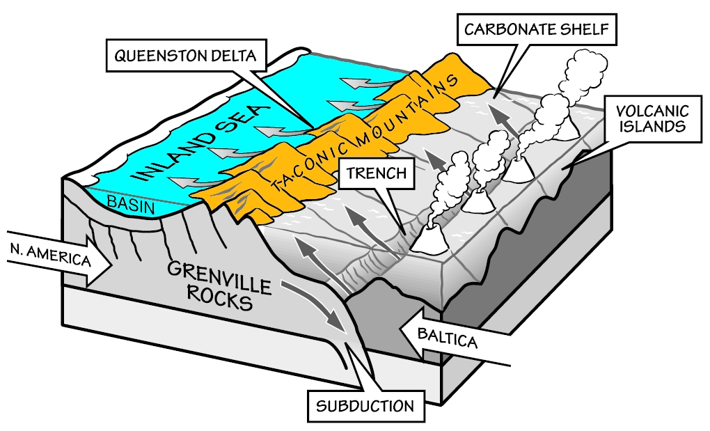 Written In Stone...seen through my lens: The Eurypterid "Eurypterus ...