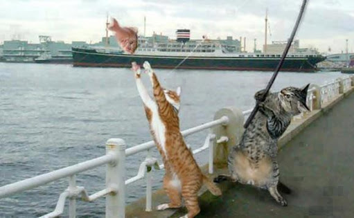 Joran Untuk Casting Toman - Kail Pancing Dot Com