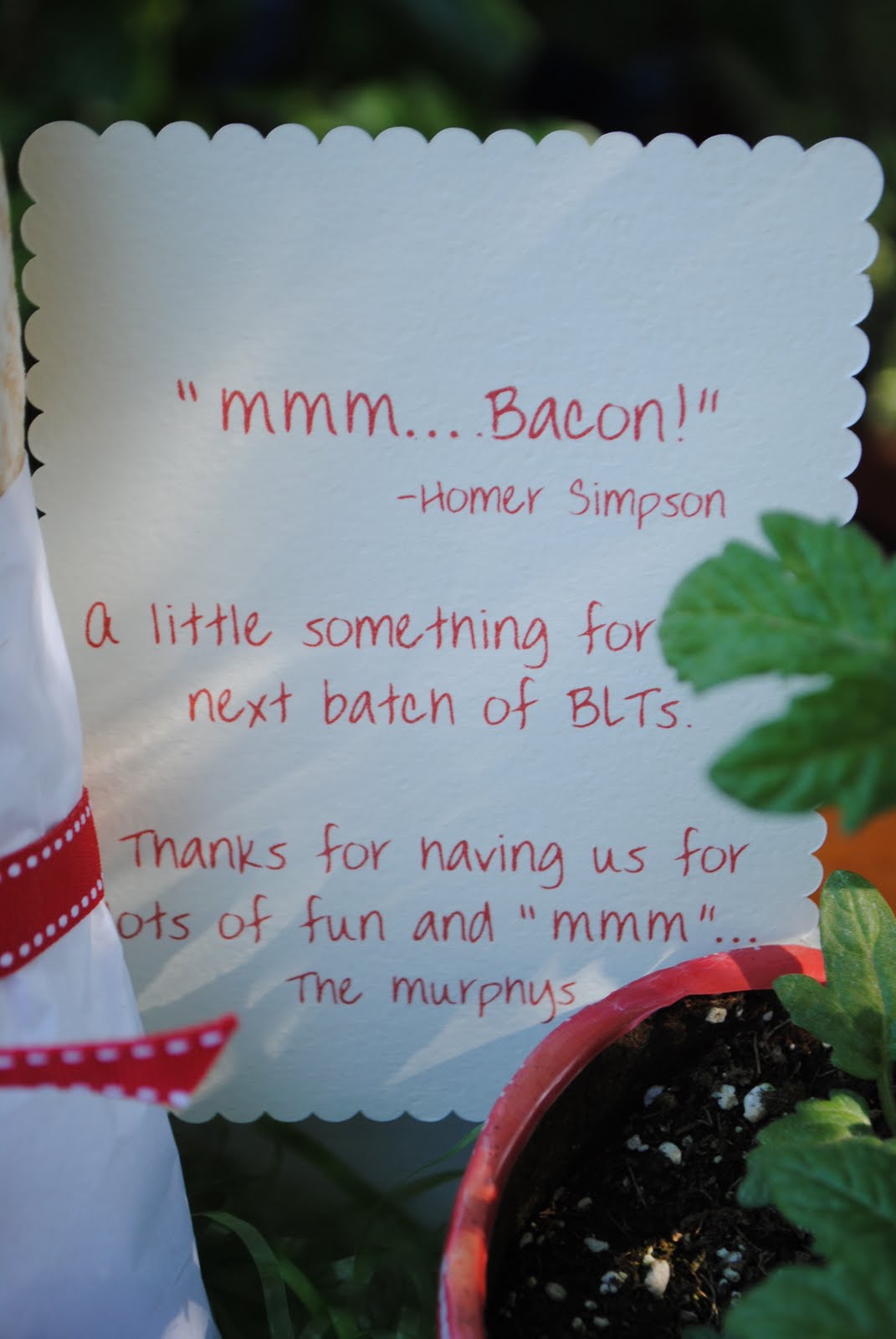 Jac o' lyn Murphy: Bacon Birthday